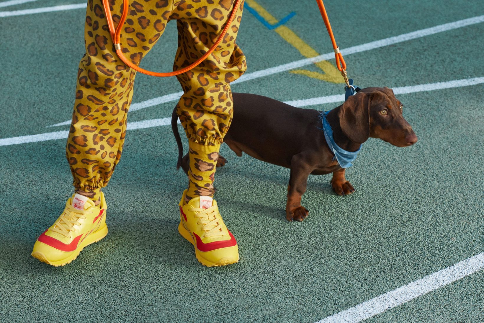 The Reebok Classic Leather Kids revisité par The Animals Observatory
