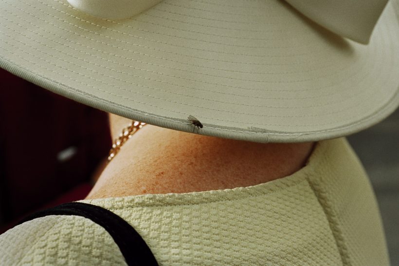 L’art photographique de Martin Parr